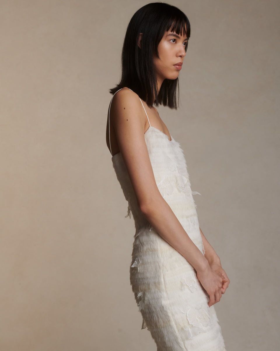 Collins – Danielle Frankel